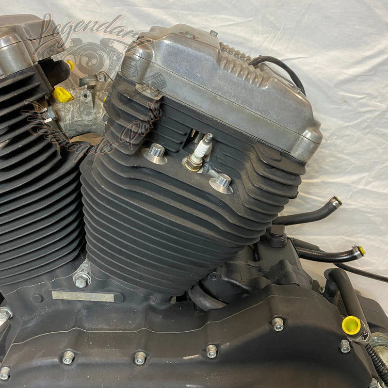 Silnik Sportster 1200 OEM 19734-11 – Legendary Parts