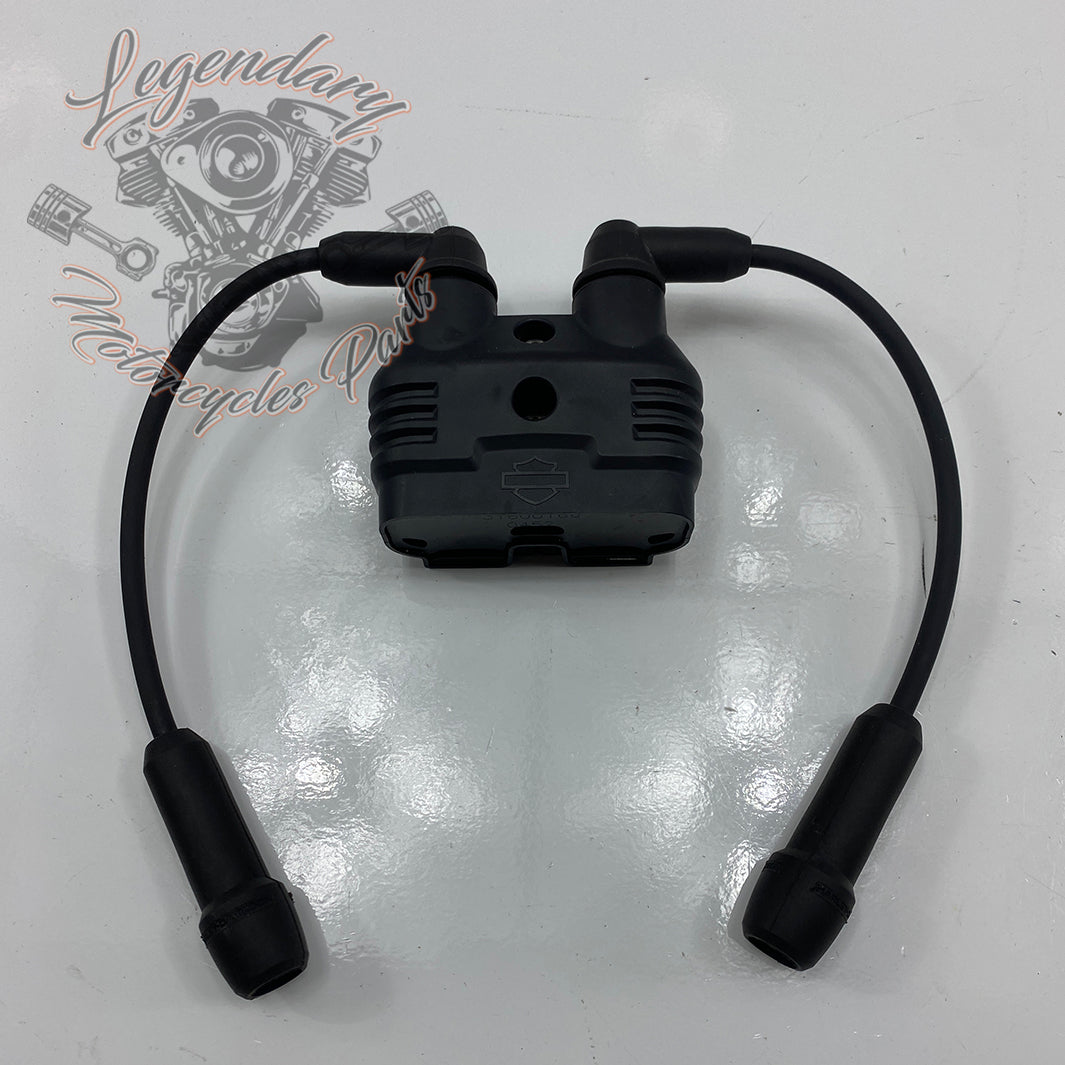 Bobine et fils de bougies OEM 31600166 – Legendary Parts