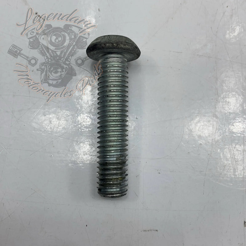 Shock Absorber Mounting Screw OEM 3880 – Legendary Parts