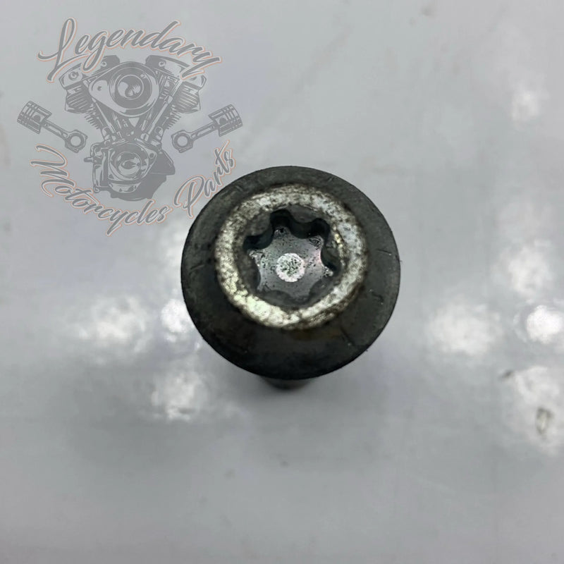 Shock Absorber Mounting Screw OEM 3880 – Legendary Parts