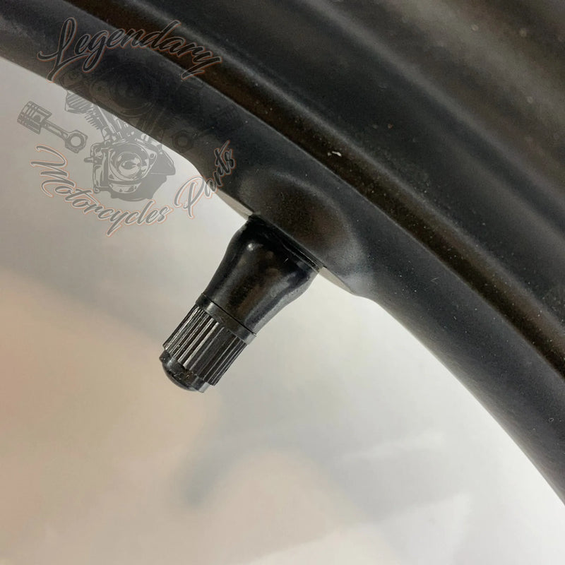 Front wheel OEM 43300569 – Legendary Parts