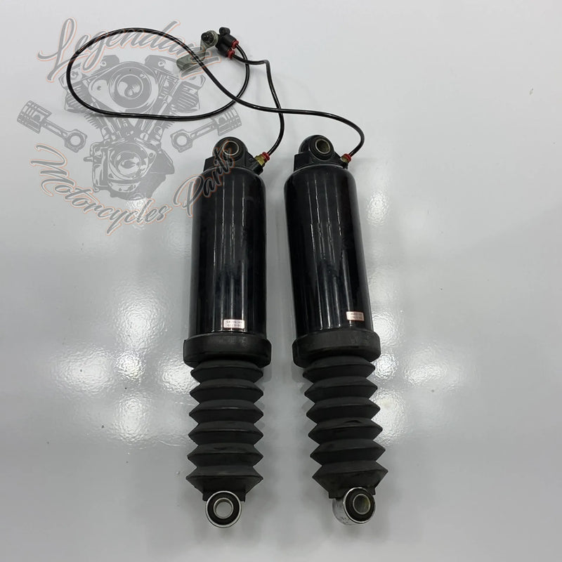 Ammortizzatore posteriore OEM 54565-09 – Legendary Parts
