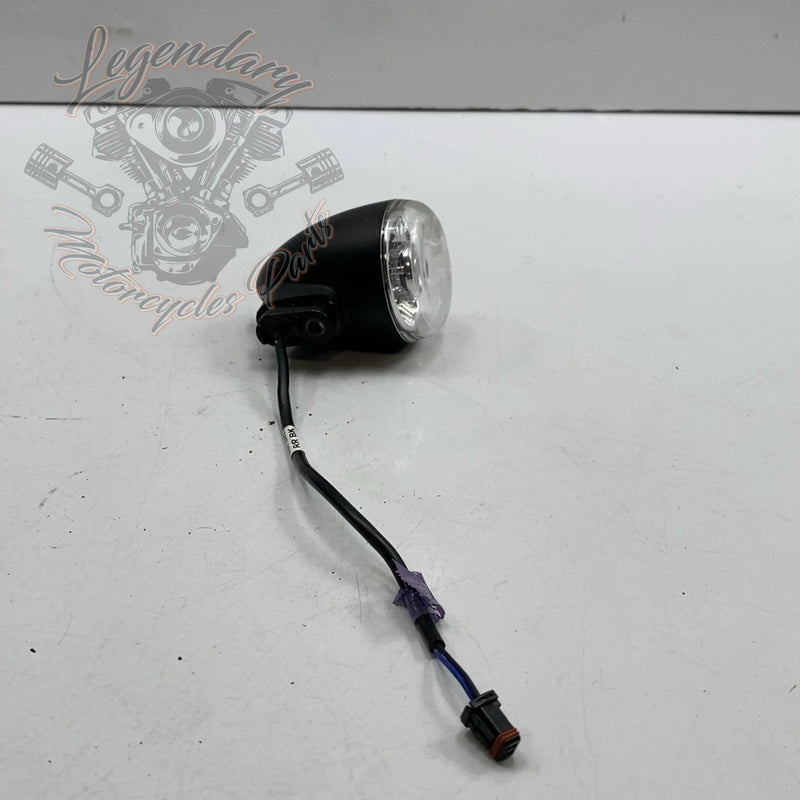 Right Rear Turn Signal OEM 67801154 – Legendary Parts
