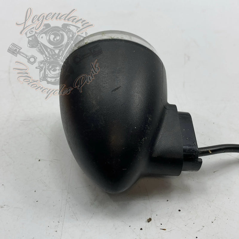Right Rear Turn Signal OEM 67801154 – Legendary Parts