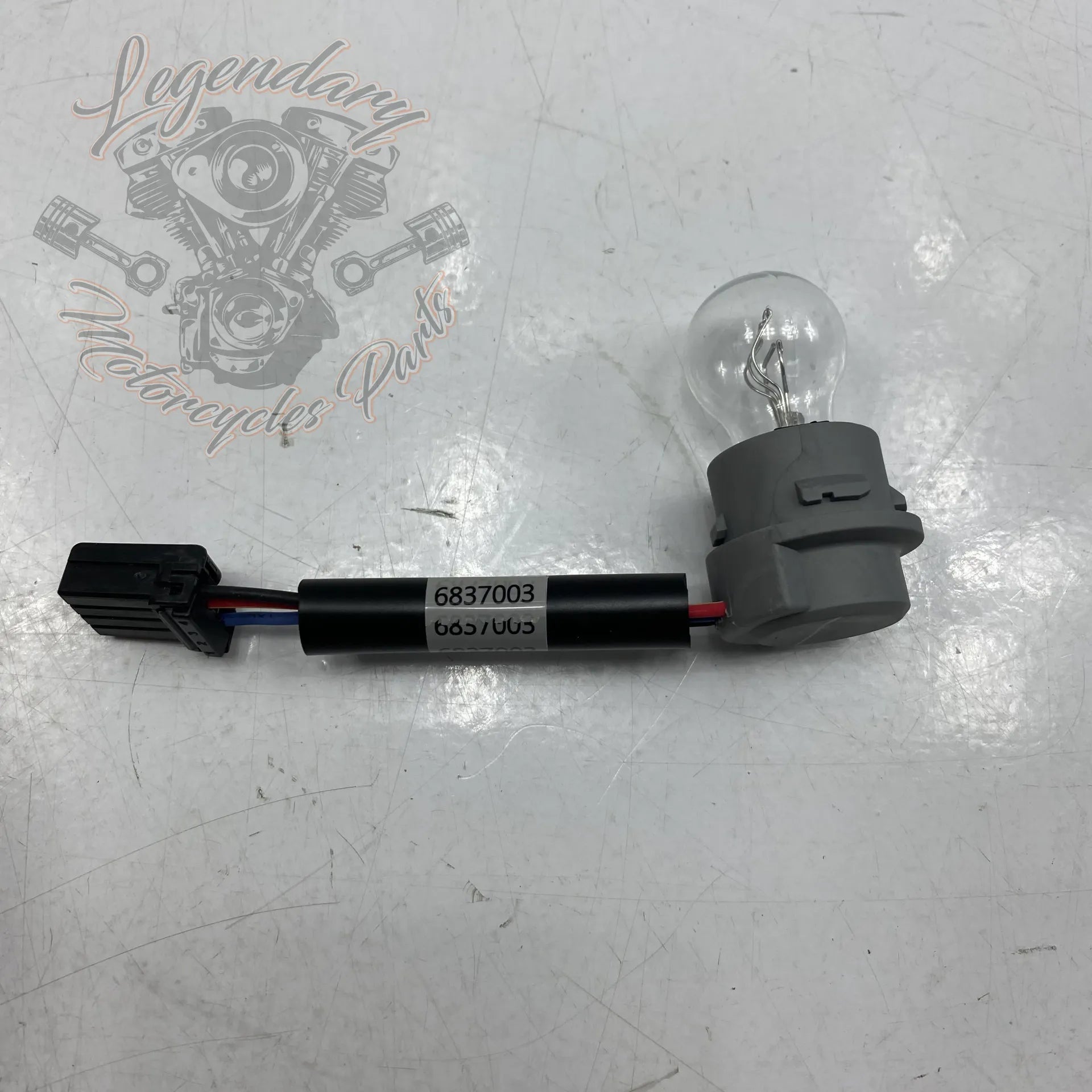 Rear Light Harness and Bulb OEM 68370-03A – Legendary Parts