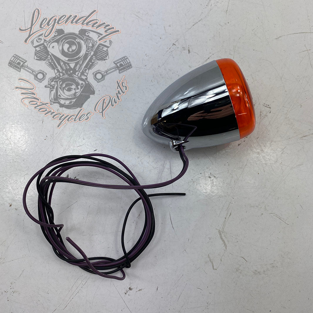 Clignotant arrière OEM 68420-01 – Legendary Parts