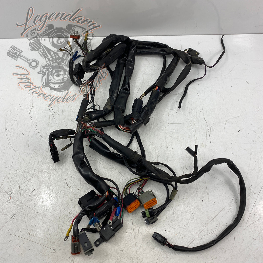 Main harness OEM 69558-99 – Legendary Parts