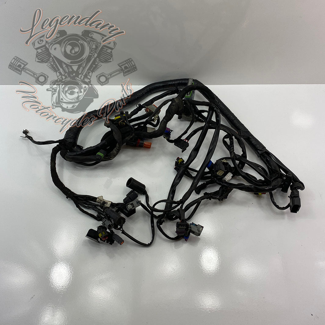 Main harness OEM 69602-08 – Legendary Parts