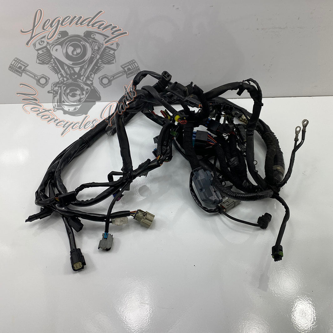 Main harness OEM 69603-08A – Legendary Parts