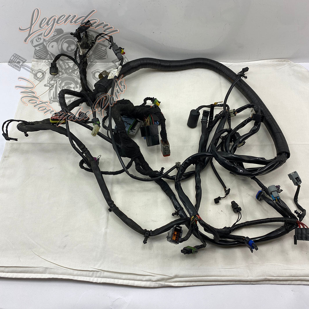 Main harness OEM 69603-08 – Legendary Parts