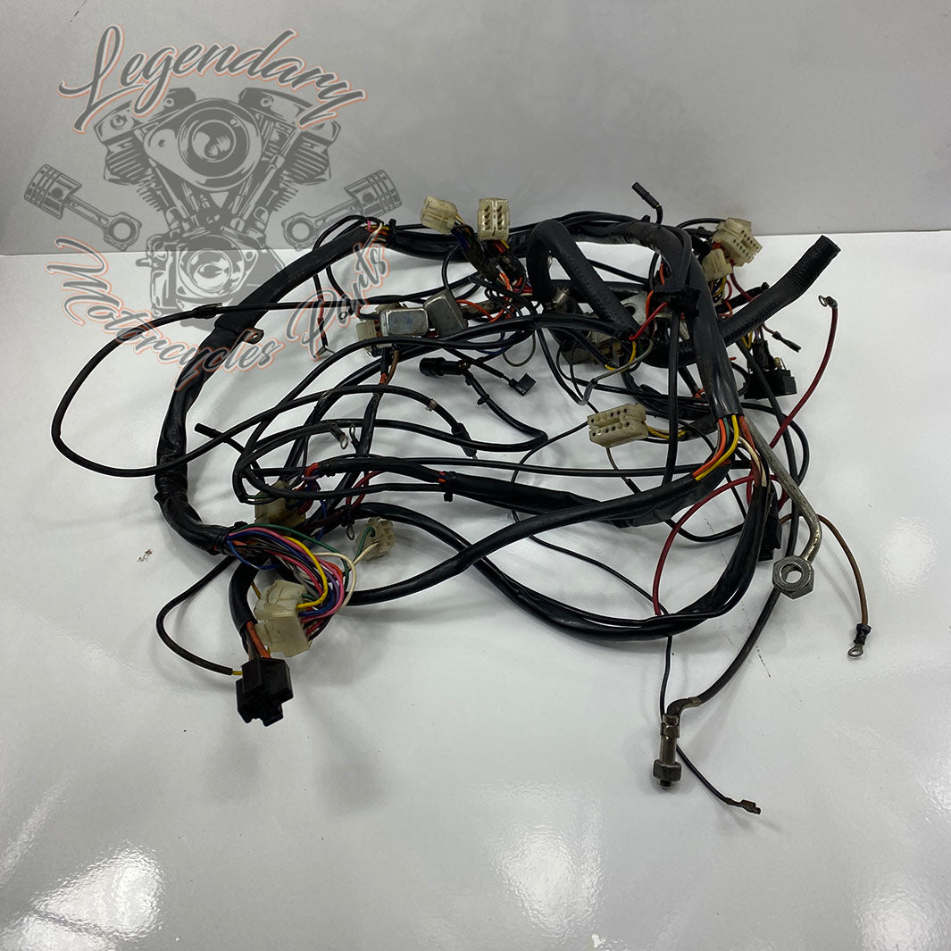 Complete harness OEM 70245-89A – Legendary Parts